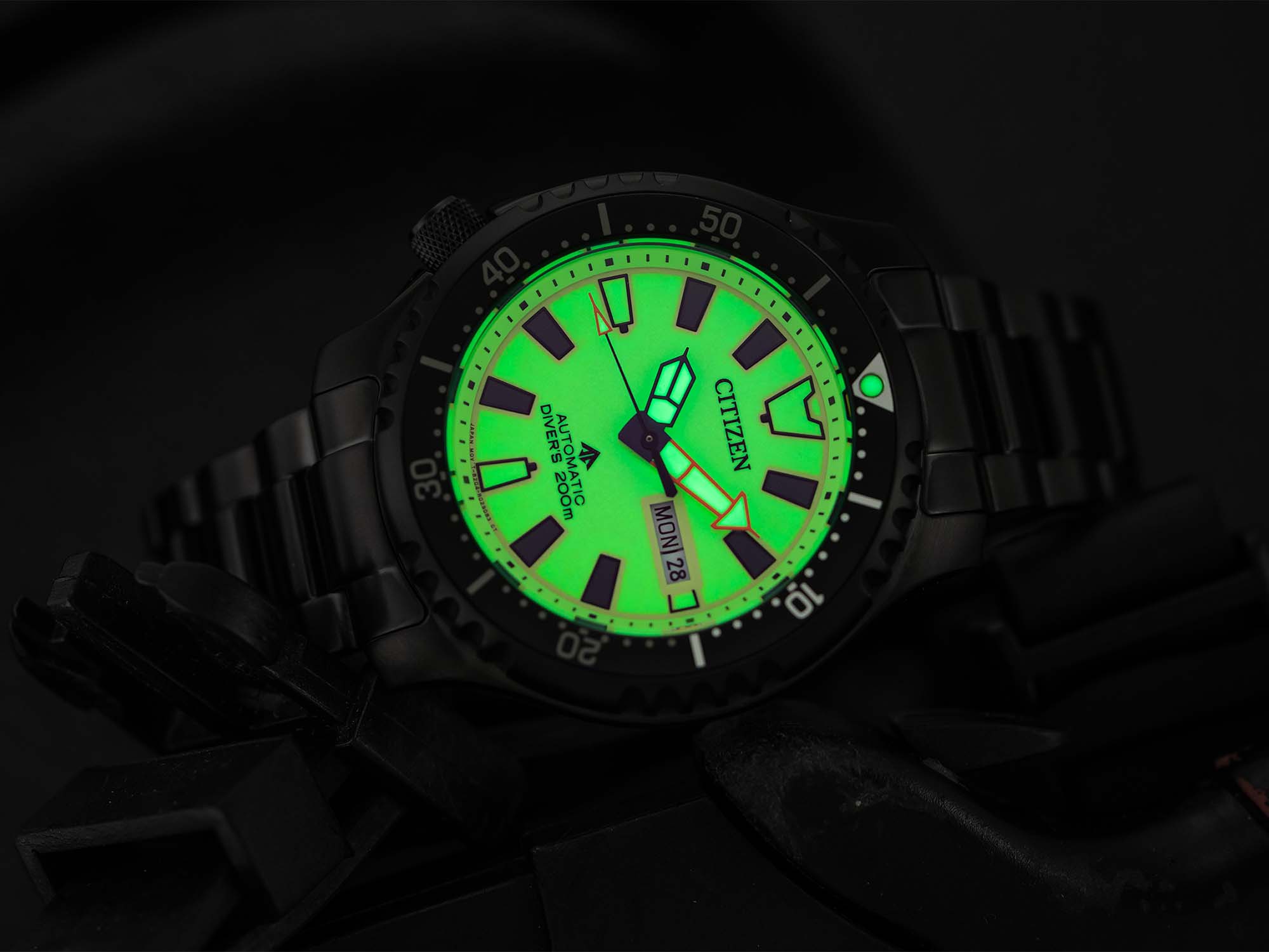 Promaster Diver | Teddy Baldassarre